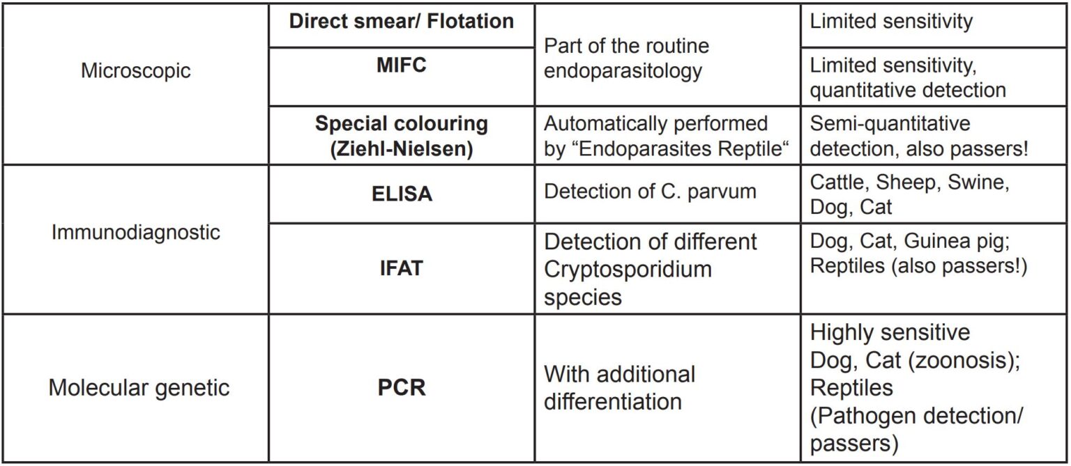 Cryptosporidium – Parasites causing diarrhoea not only in large animals ...