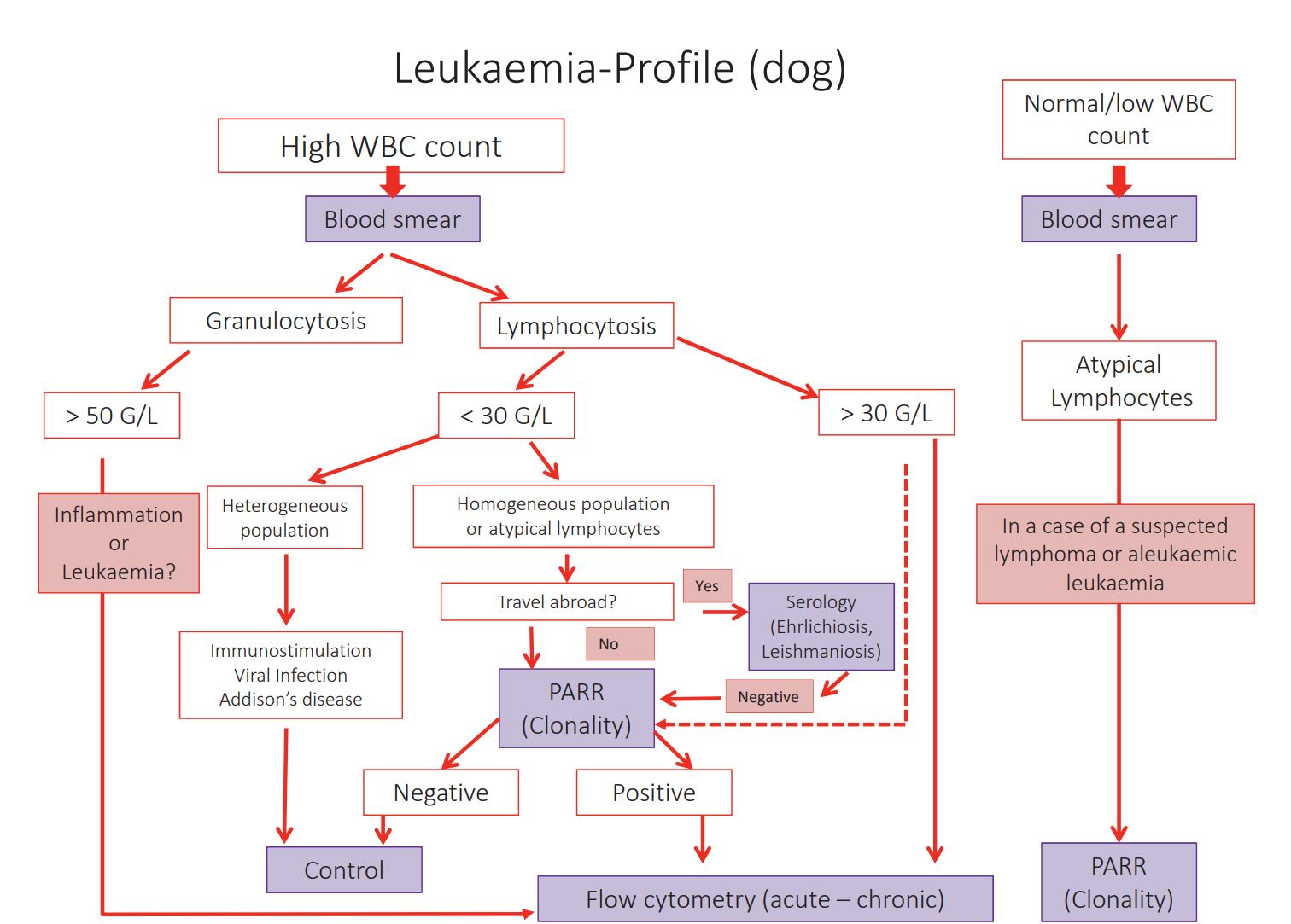 Leukaemia Profile in Cats and Dogs