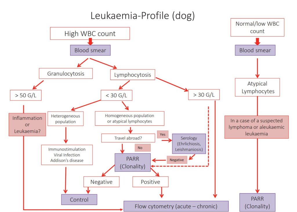 Leukaemia Profile in Cats and Dogs