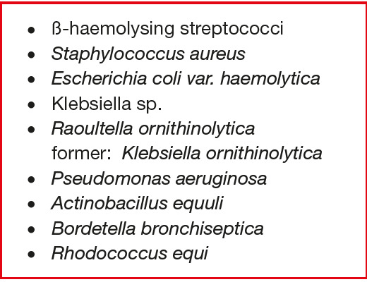 The bacteriological examination – an important component of testing the ...