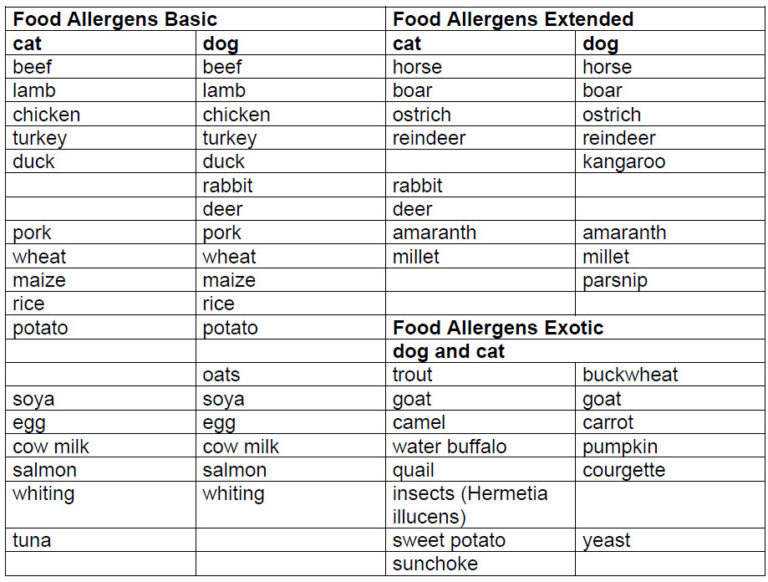 Case Study – Food Allergy