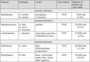 Introducing the “Feline Travel Profile”