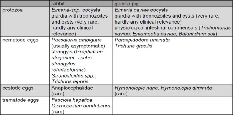 Diarrhoeal diseases in rabbits and guinea pigs – laboratory diagnostic ...
