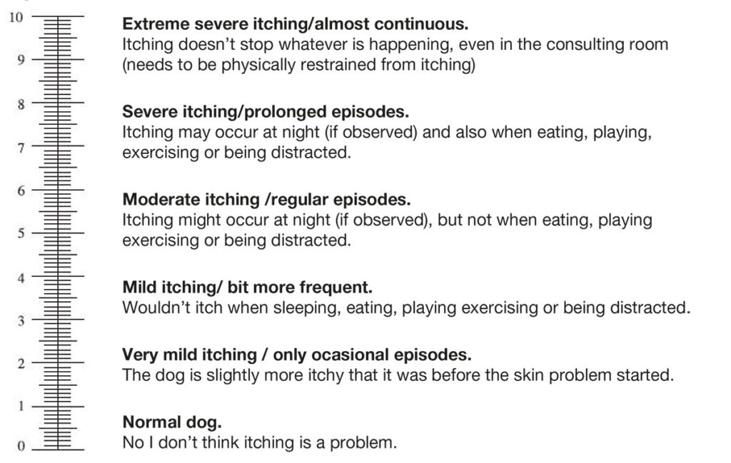 Atopic-like Dermatitis: A clinical case