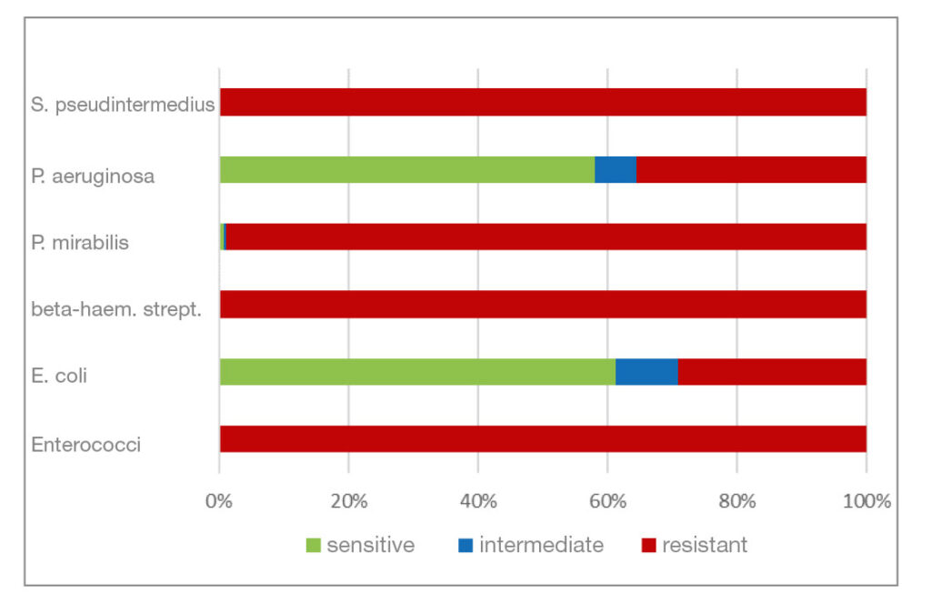 Otitis externa in dogs – data analysis of ear swab samples from 2016 ...