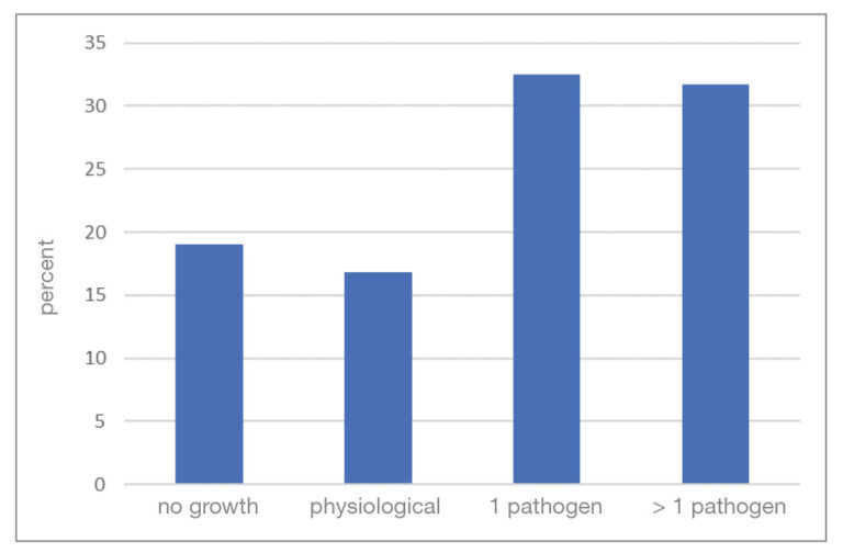 Otitis externa in dogs – data analysis of ear swab samples from 2016 ...