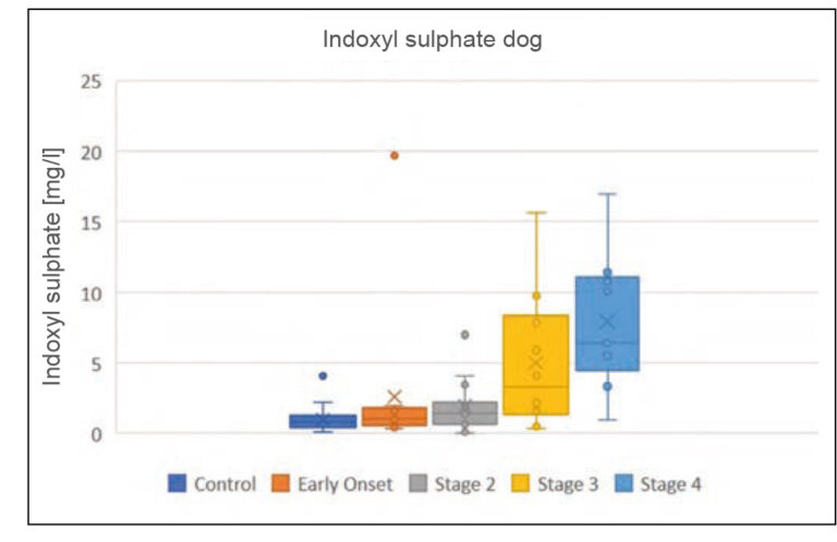 Diagnosis of renal dysfunction in dogs and cats - LABOKLIN Europe