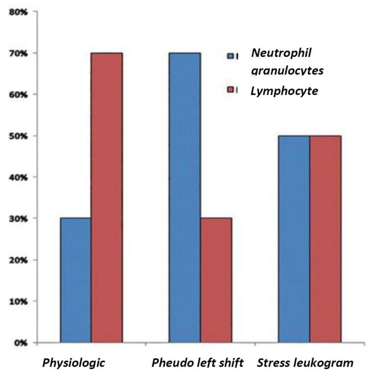 Laboratory diagnostics in guinea pigs