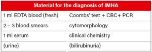 Which tests can help me diagnose an immune-mediated hemolytic anemia ...