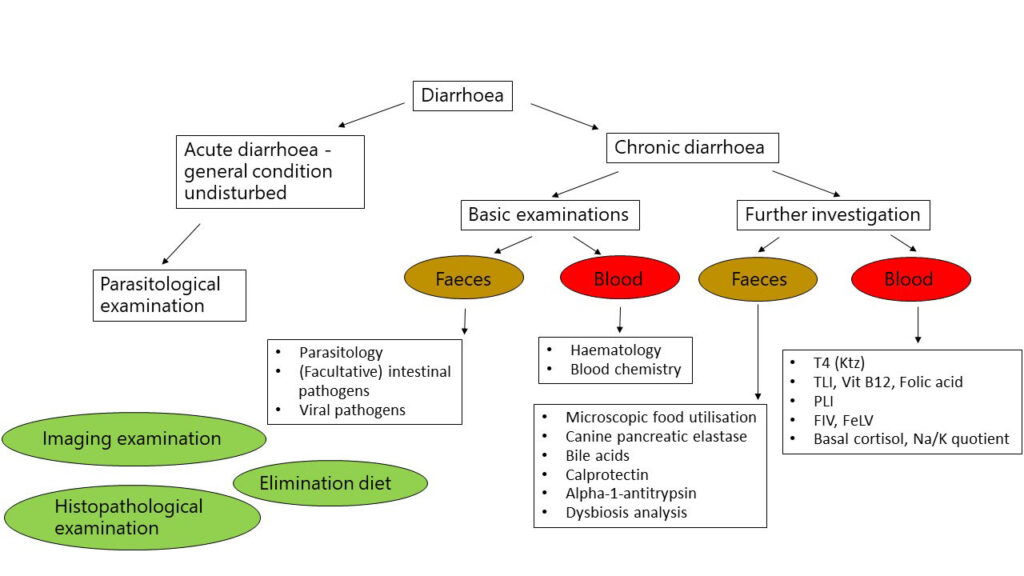 Acute or chronic diarrhoea ‒ when to use which diagnostics?