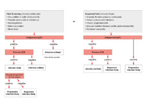 Feline leukaemia virus (FeLV) and feline immunodeficiency virus (FIV ...